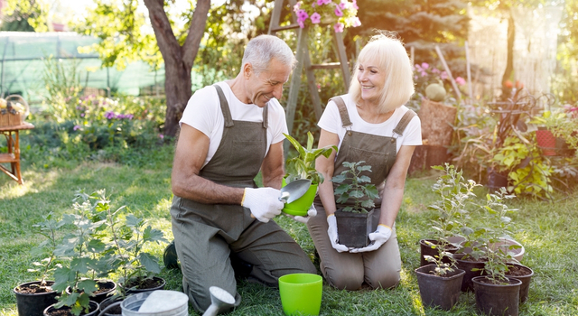 10 key jobs to do in your garden in time for spring